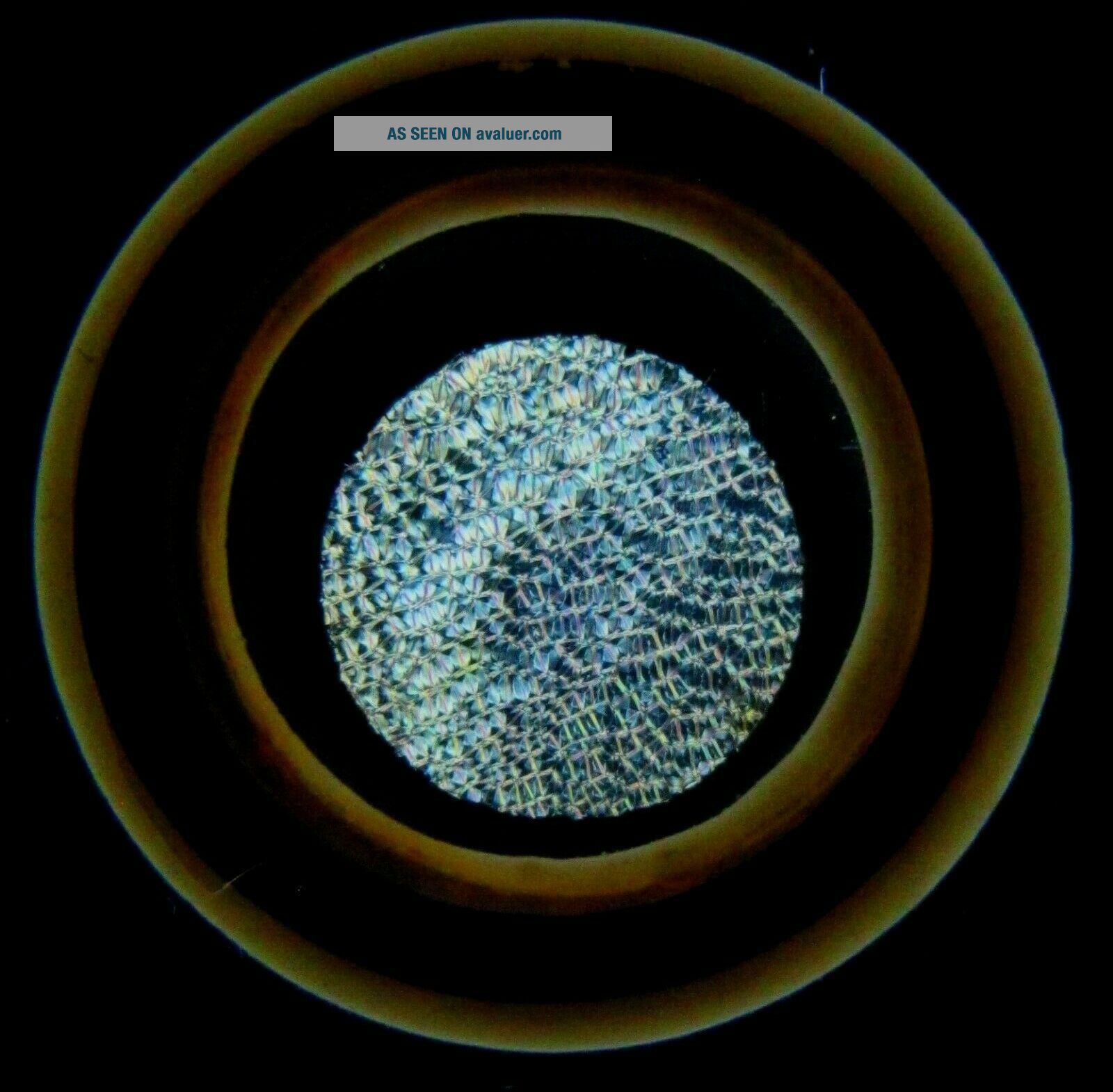 Antique Microscope Slides By Richard Suter. | #4280701