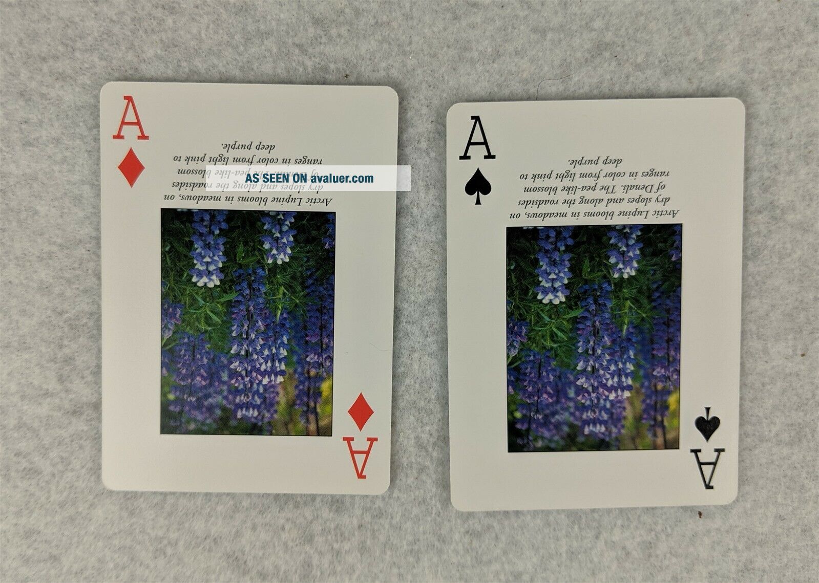 Denali National Park Alaska Playing Cards | #4342962