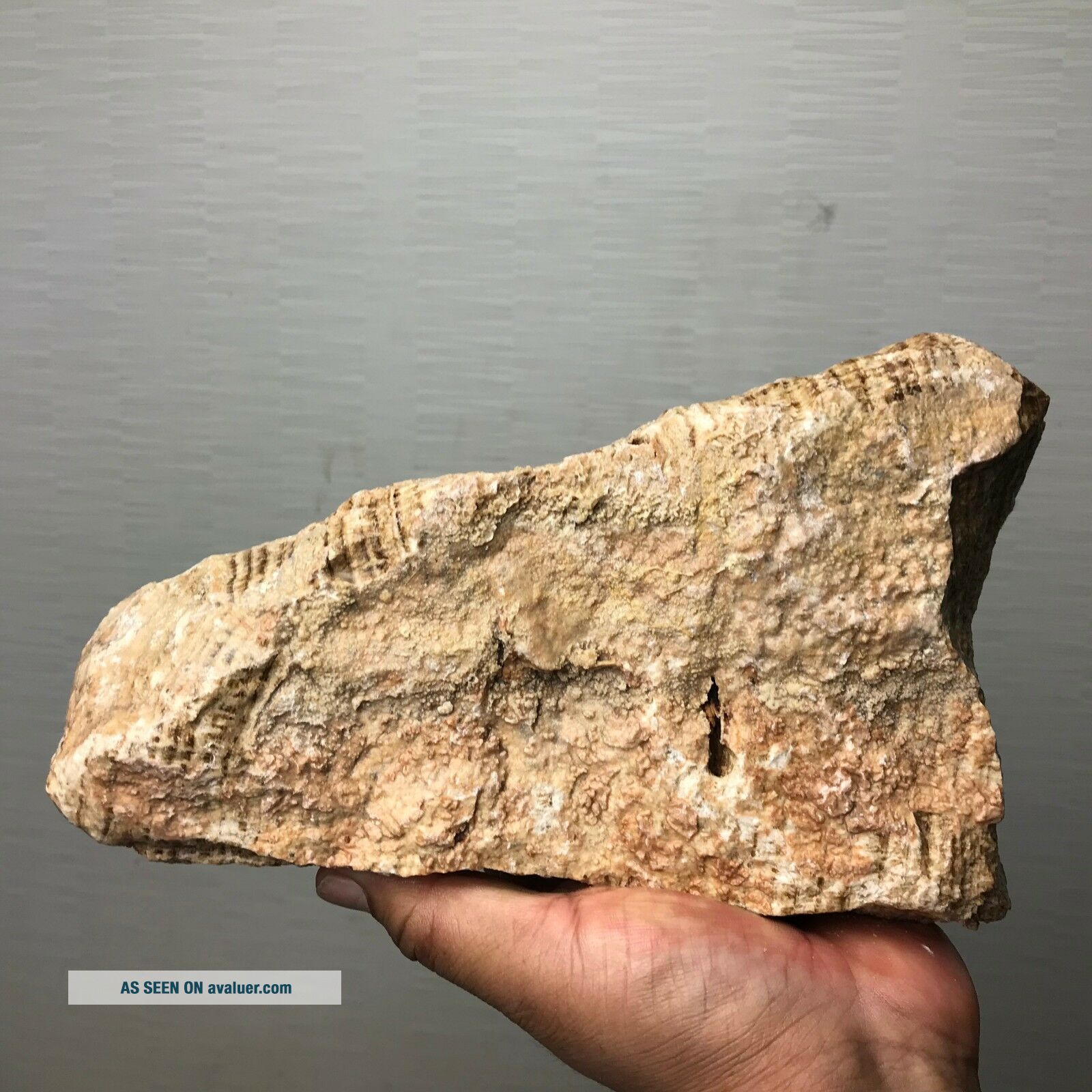 TOP QUALITY BANDED ARAGONITE ROUGH 11 LBS FROM ARGENTINA | #4919715