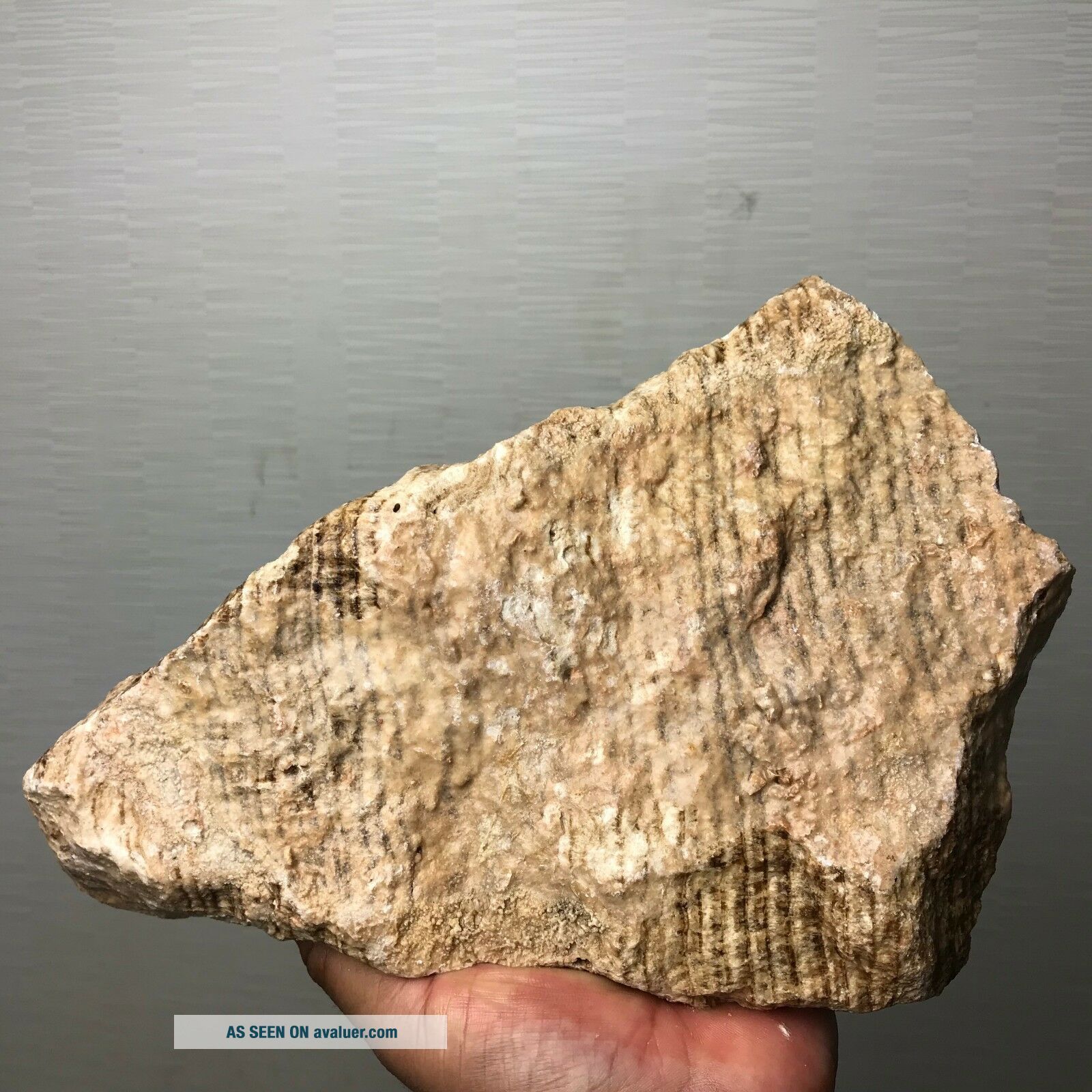 TOP QUALITY BANDED ARAGONITE ROUGH 11 LBS FROM ARGENTINA | #4919715