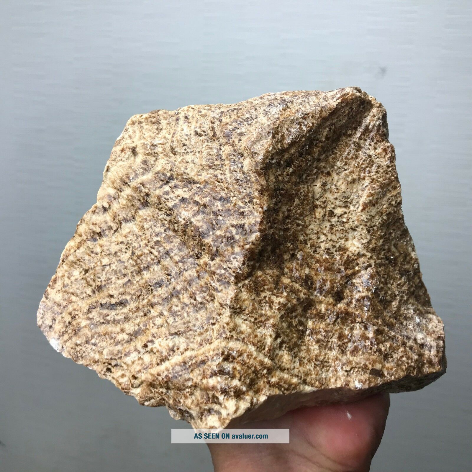 TOP QUALITY BANDED ARAGONITE ROUGH 11 LBS FROM ARGENTINA | #4919715