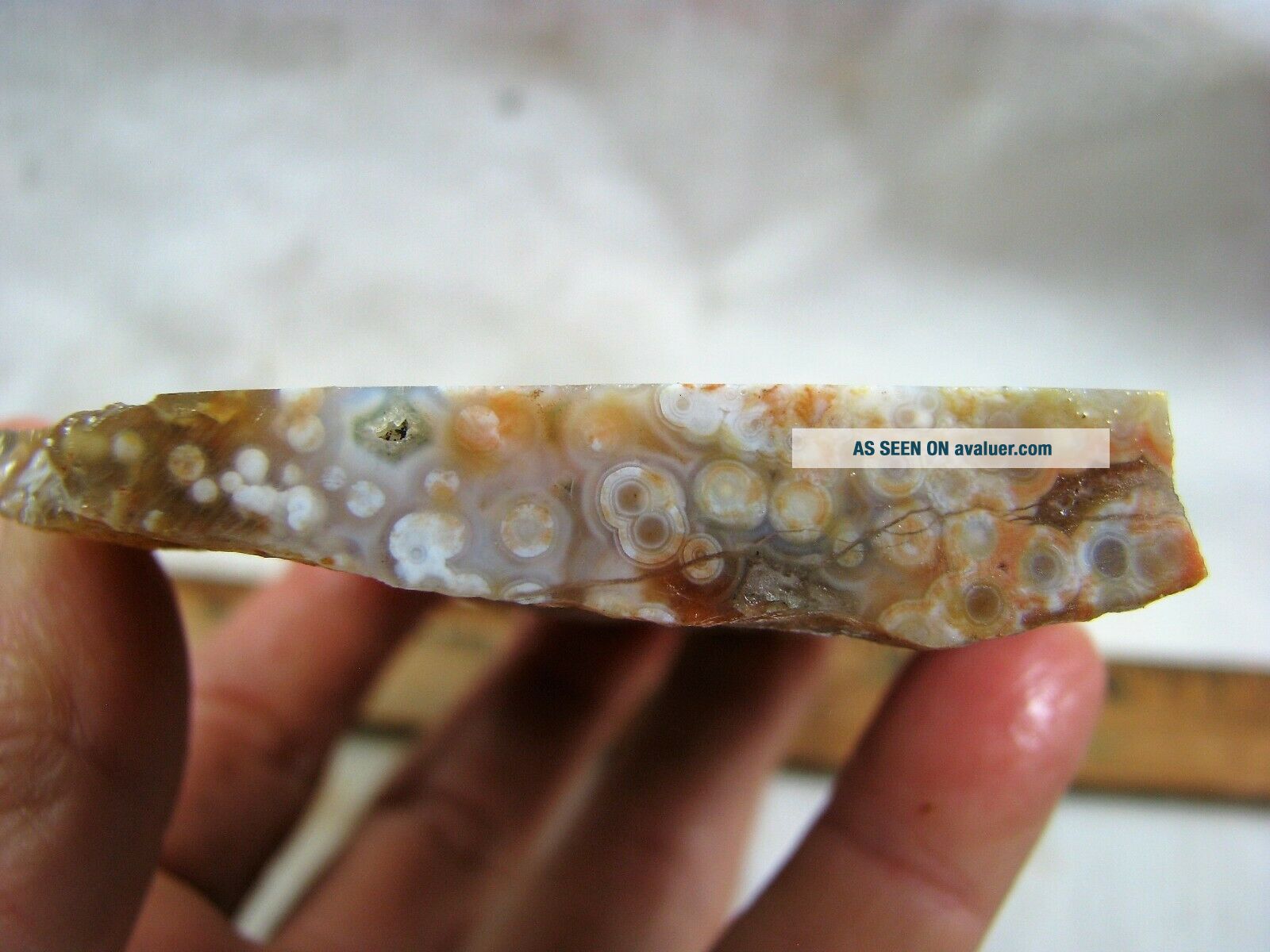 Ocean Jasper Rough From Madagascar End Cut For Cabbing And Polishing ...