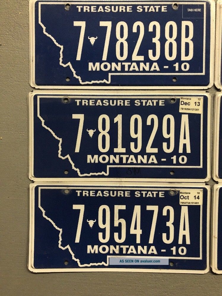 ONE MONTANA TREASURE STATE LICENSE PLATE RANDOM LETTERS/NUMBERS | #5151878