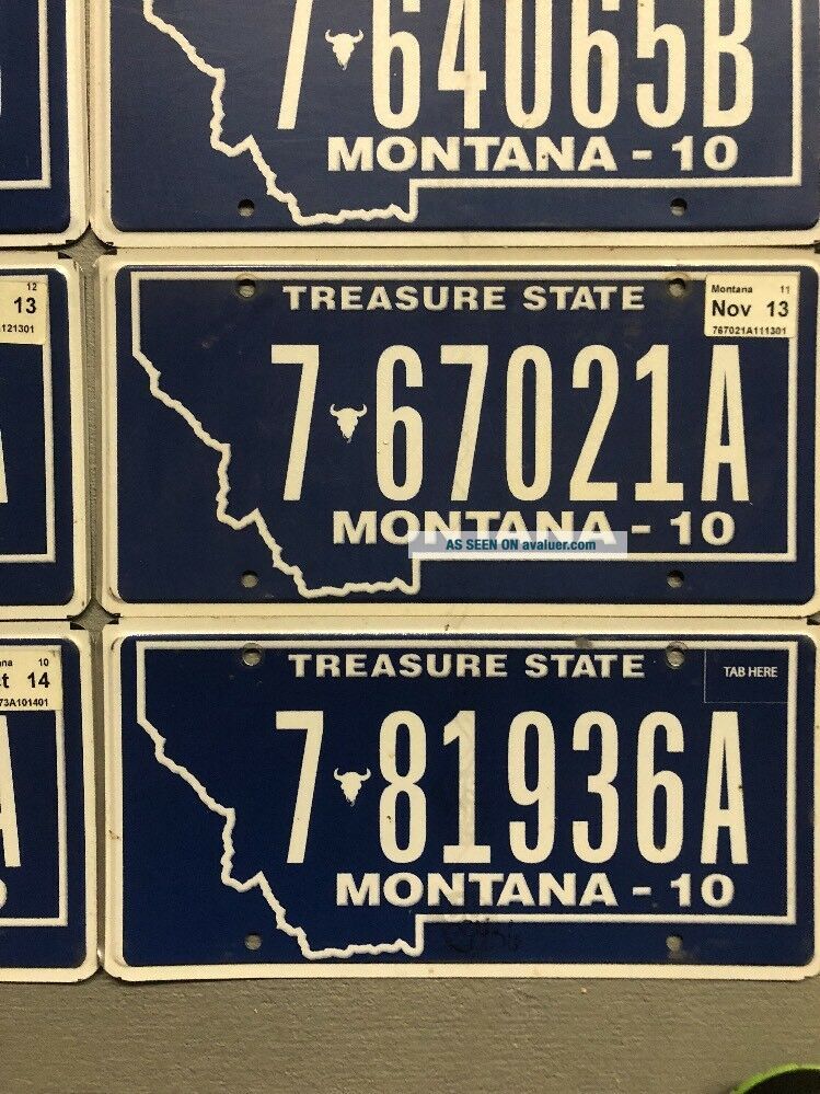 ONE MONTANA TREASURE STATE LICENSE PLATE RANDOM LETTERS/NUMBERS | #5151878