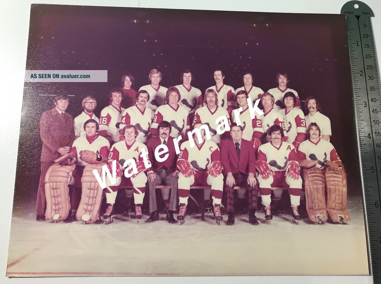 1974 Cape Codders Vintage NAHL Hockey Official Team Photo | #6114268