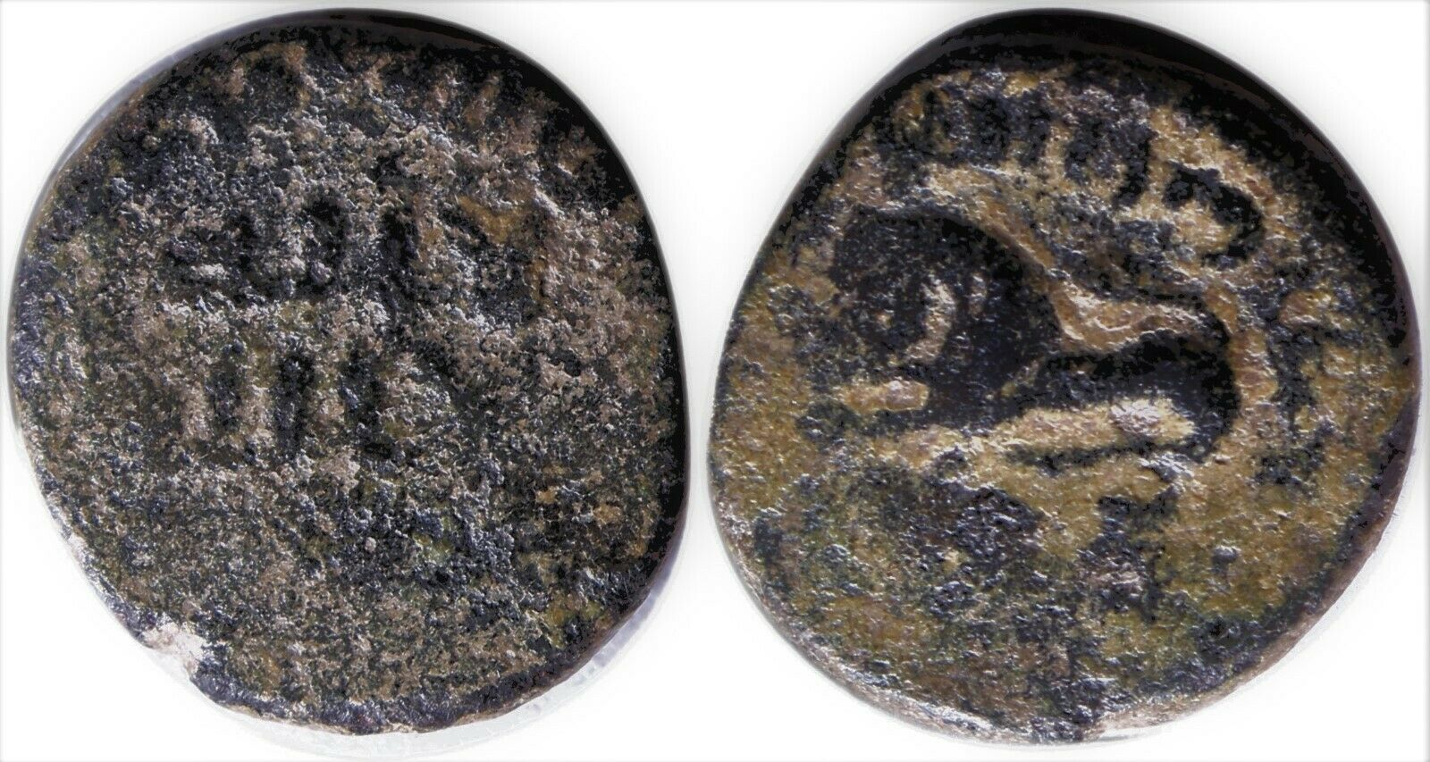 Authentic Medieval Coin_Islamic_Lion/Horse_Interesting And Rare Type ...