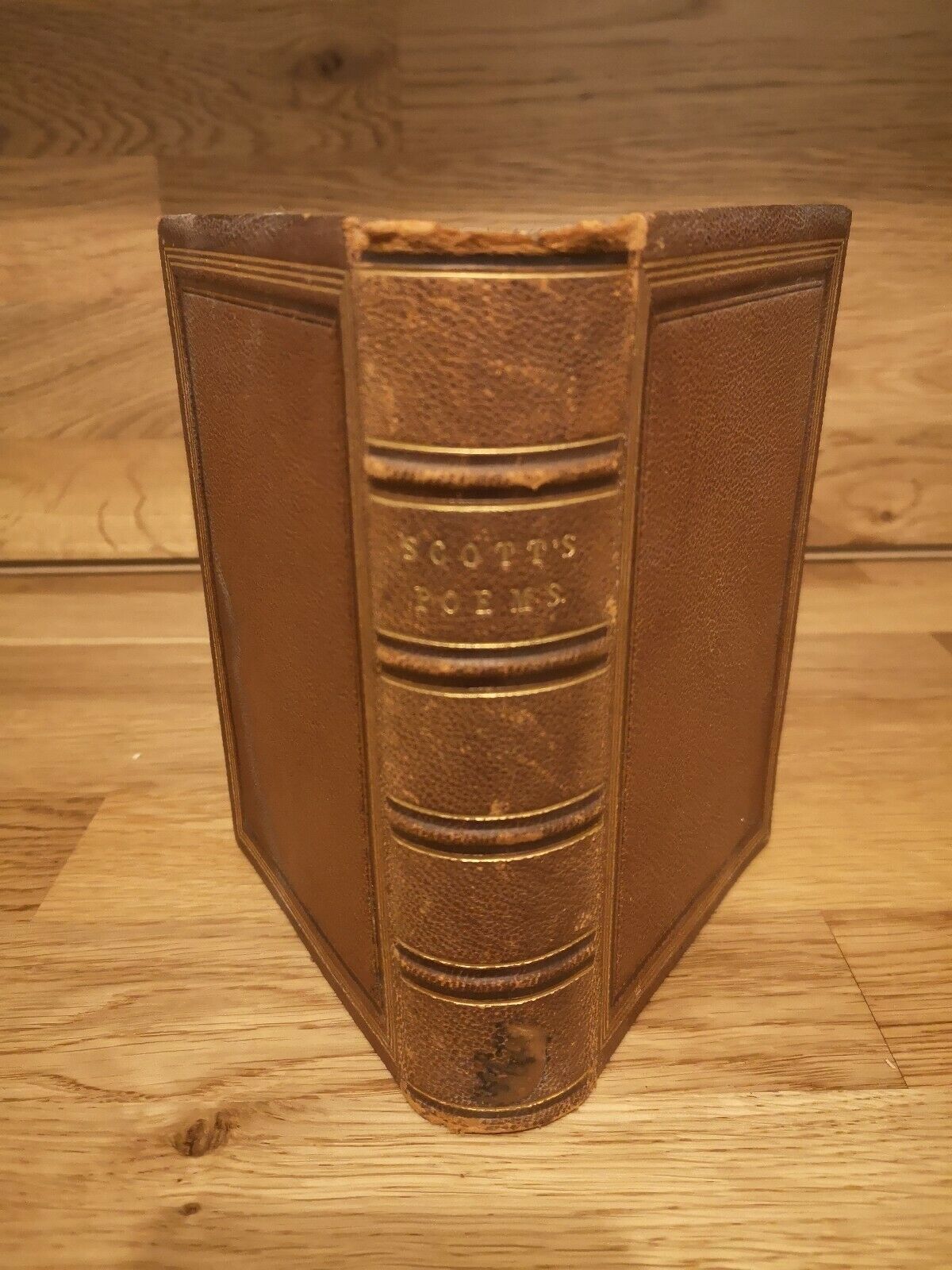 Poems By Sir Walter Scott With Illustrations By Keeley Halswelle 1877 ...