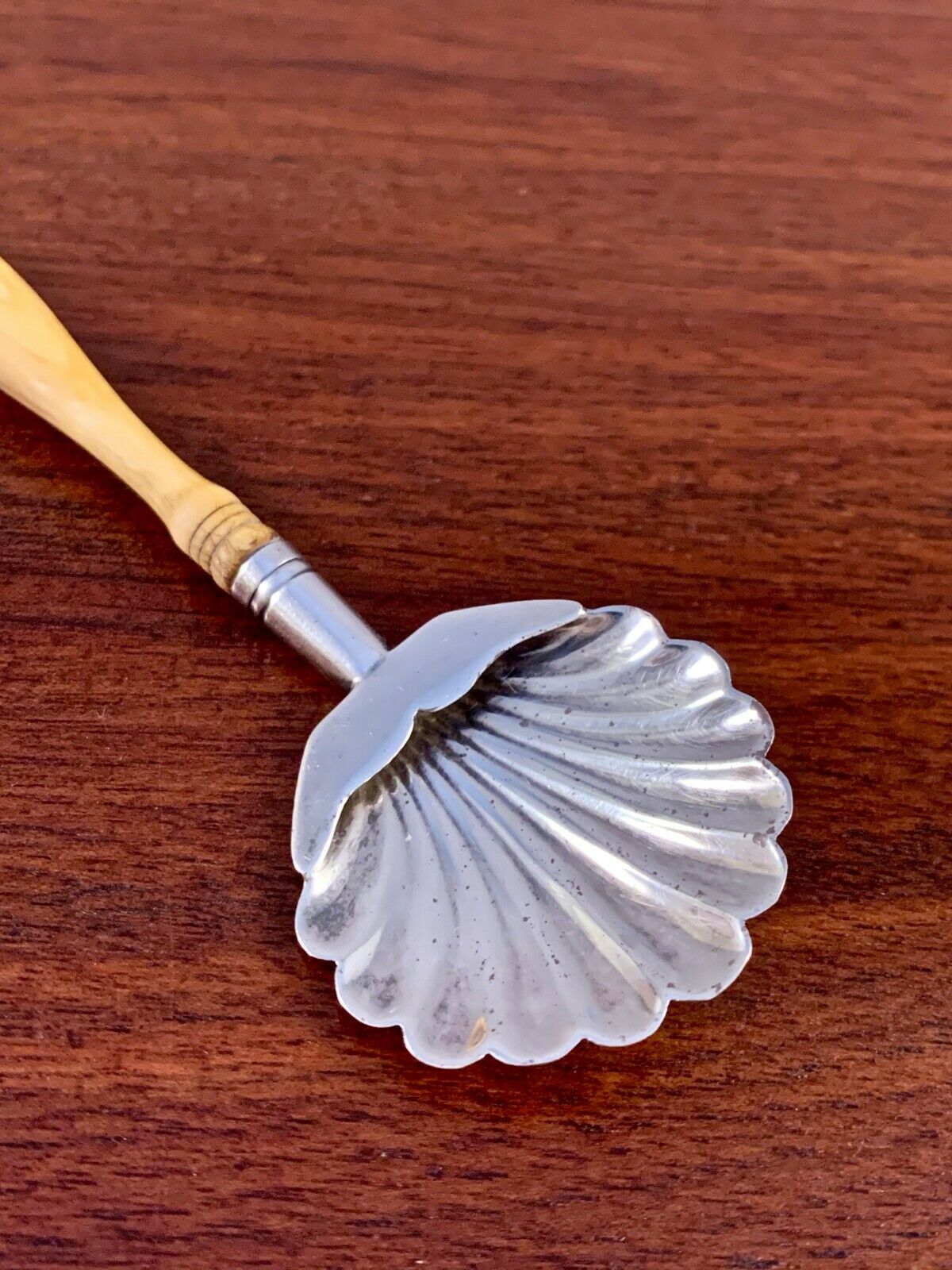 AMERICAN STERLING SILVER SHELL SHAPED TEA CADDY SPOON W/ BONE HANDLE ...