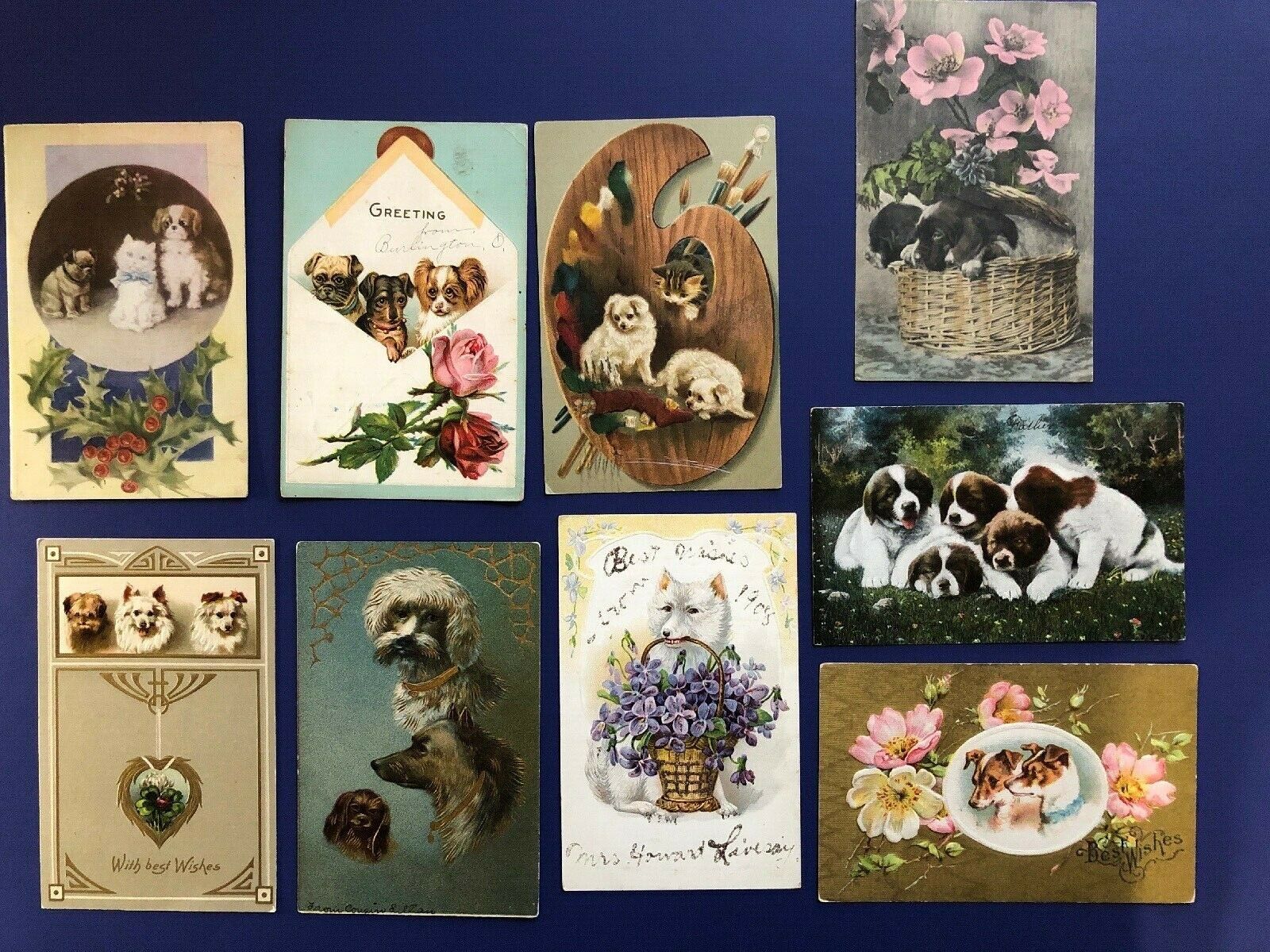 9 Dogs Antique 1900 ' S Better Postcards. Collector Items. With Value ...